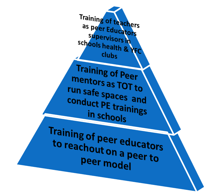 Peer Education Programme - The Nasio Trust | Changing Lives For Good