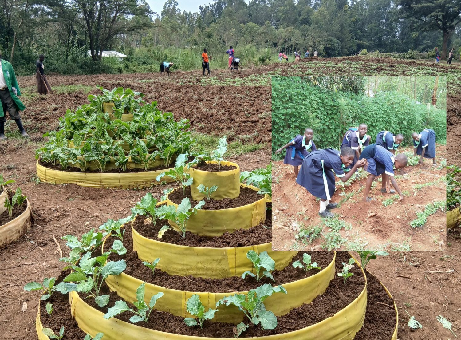 Young Farmers Club - The Nasio Trust | Changing Lives For Good